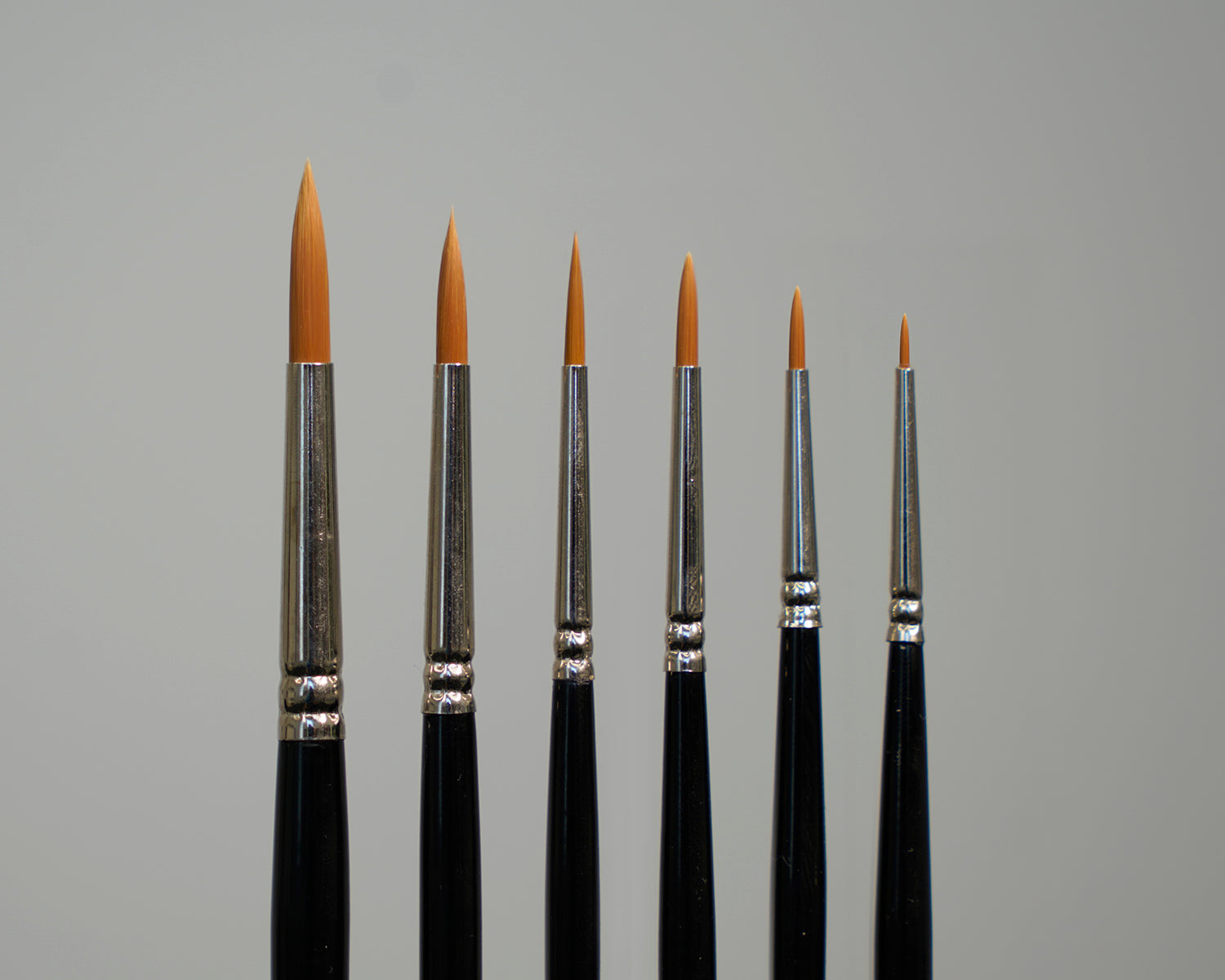 Pointed Brush Variety Set - Series 2