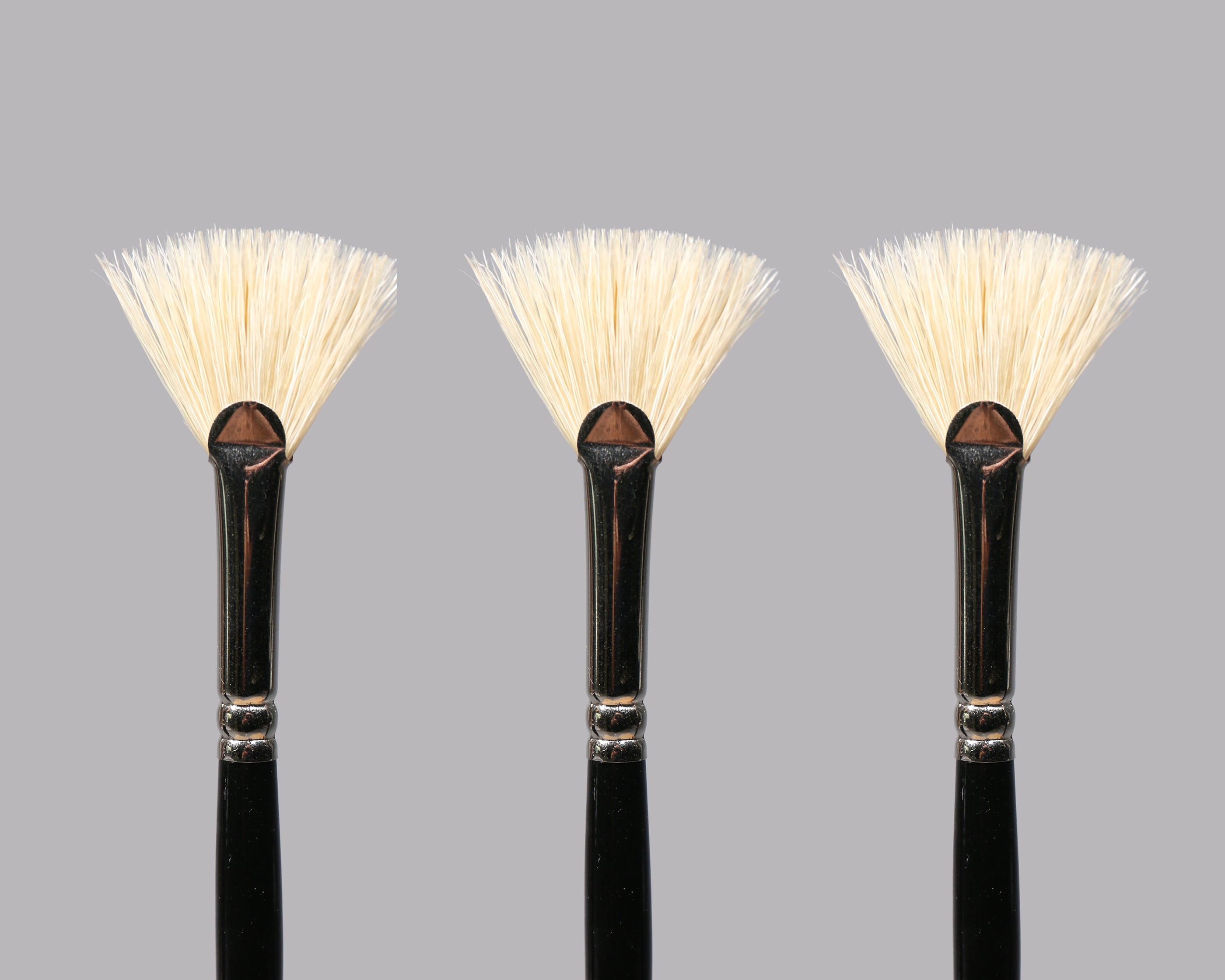 3 Piece "Fan Brush" Set - Series 4